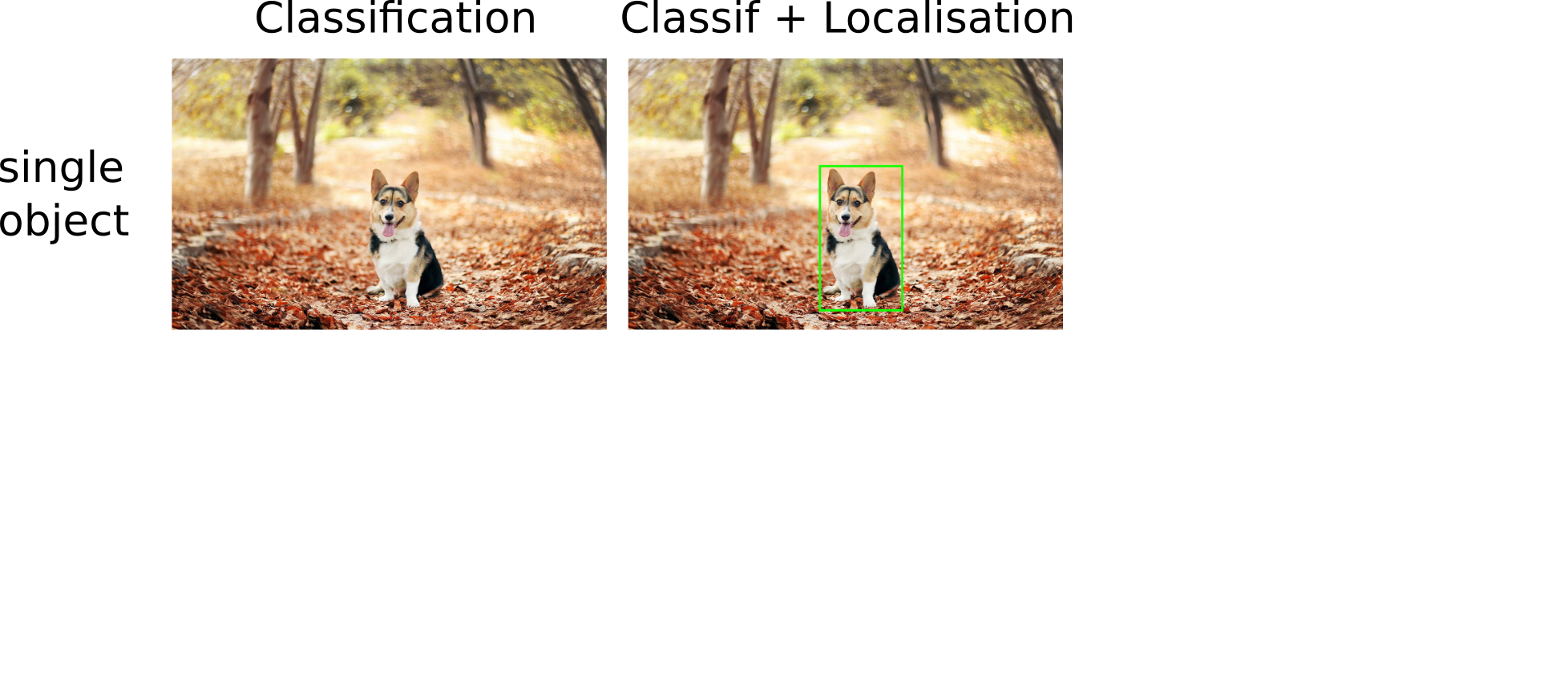 Convolutional Neural Networks for Object Detection